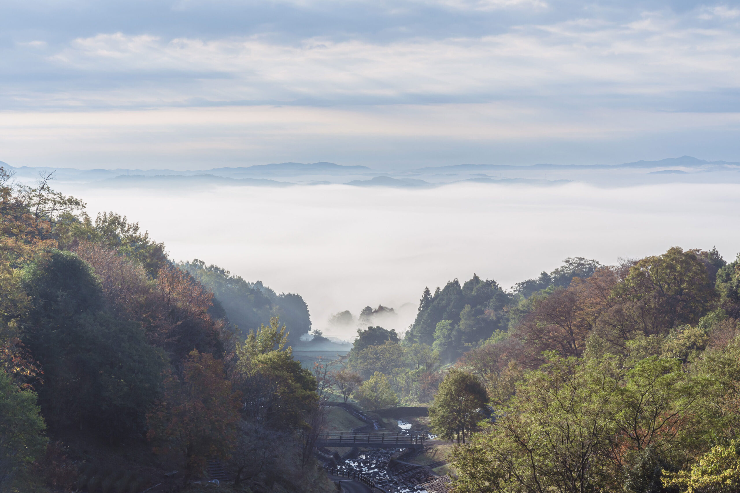 Cloud Sea from Wildflower Park ｜ visit nagi｜Sightseeing and photo spots ...